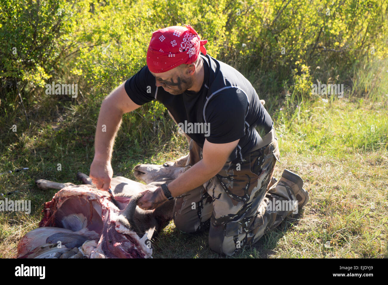 Skinning knife Banque de photographies et d’images à haute résolution ...