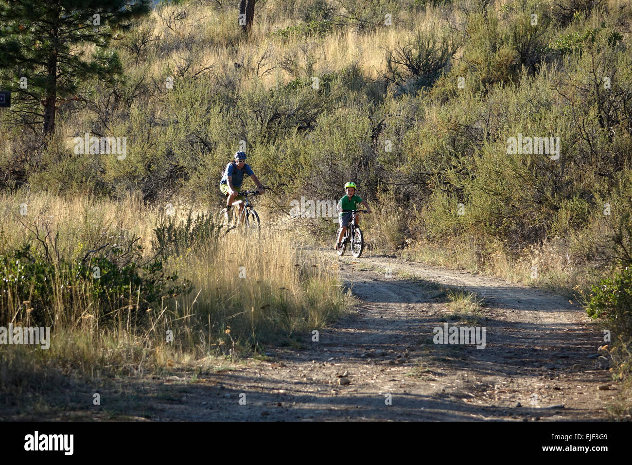 Un père suit son fils vers le bas une double piste dirt trail à Echo ...
