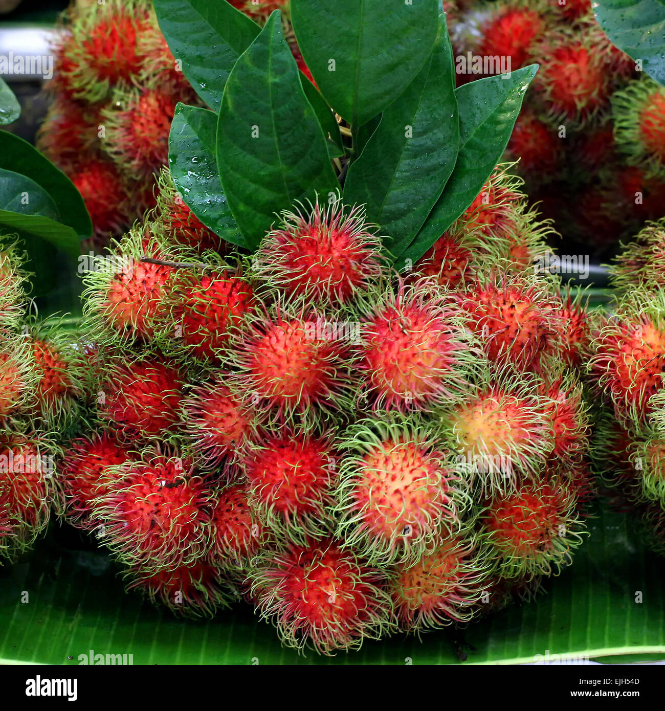 Pile de ramboutan sur bac de marché Photo Stock - Alamy