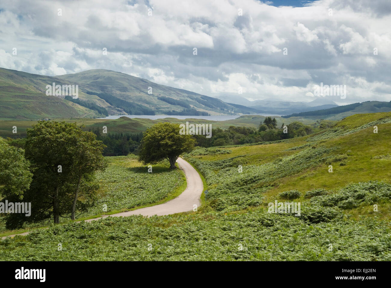 Loch frisa Banque de photographies et d’images à haute résolution - Alamy