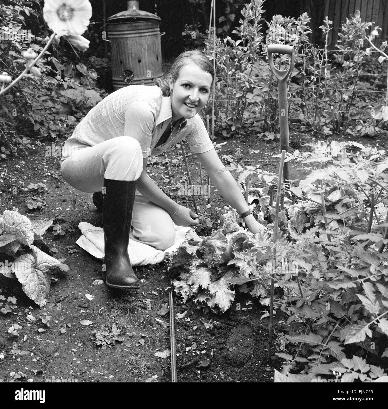 Penelope Keith, star de la série TV de la BBC "la bonne vie", que la ...