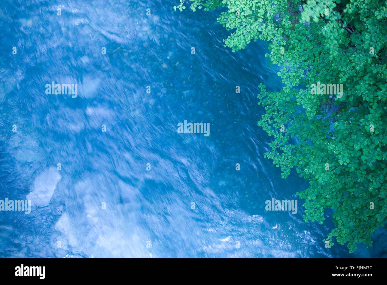 Eau claire de ruisseau de montagne Banque de photographies et d’images à haute résolution - Alamy