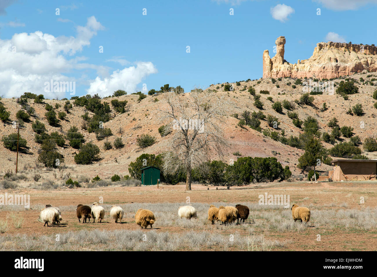 Georgia okeeffe ghost ranch Banque de photographies et d’images à haute ...