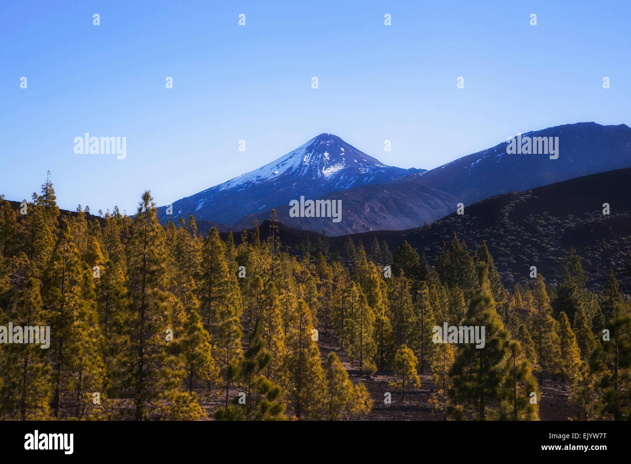 Tenerife mount teide volcano Banque de photographies et d’images à ...
