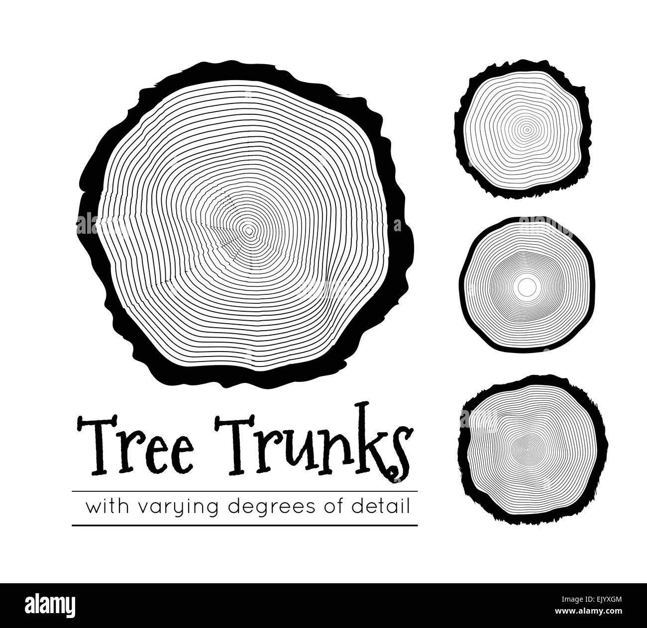 La section transversale du tronc, vector illustration Photo Stock - Alamy