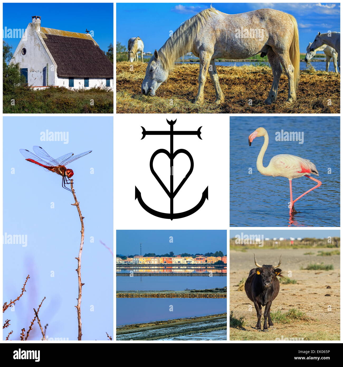 Collage de plusieurs photos de la Camargue et de la célèbre croix de ...