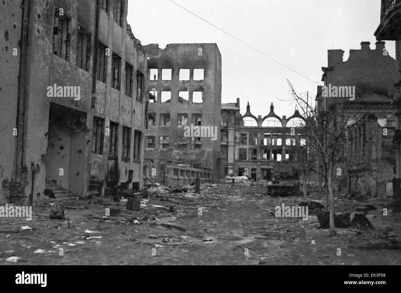 Stalingrad 1943 Banque d'image et photos - Alamy