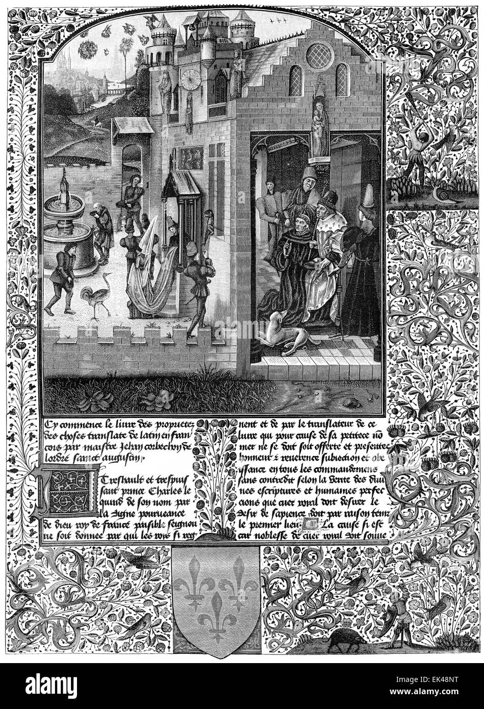 Bartholomeus anglicus Banque de photographies et d’images à haute ...