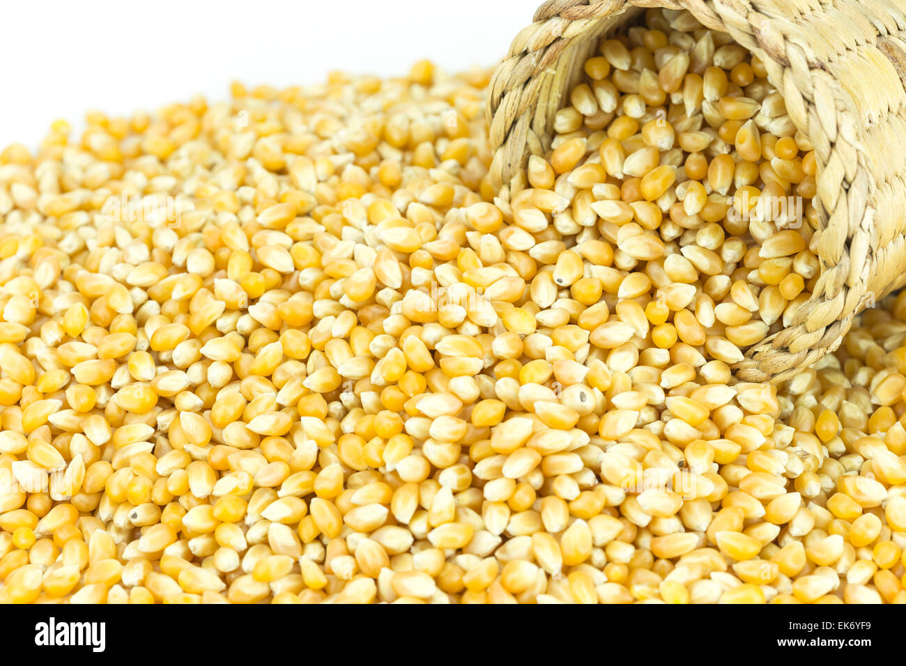 Whole grain yellow corn meal Banque de photographies et d’images à ...