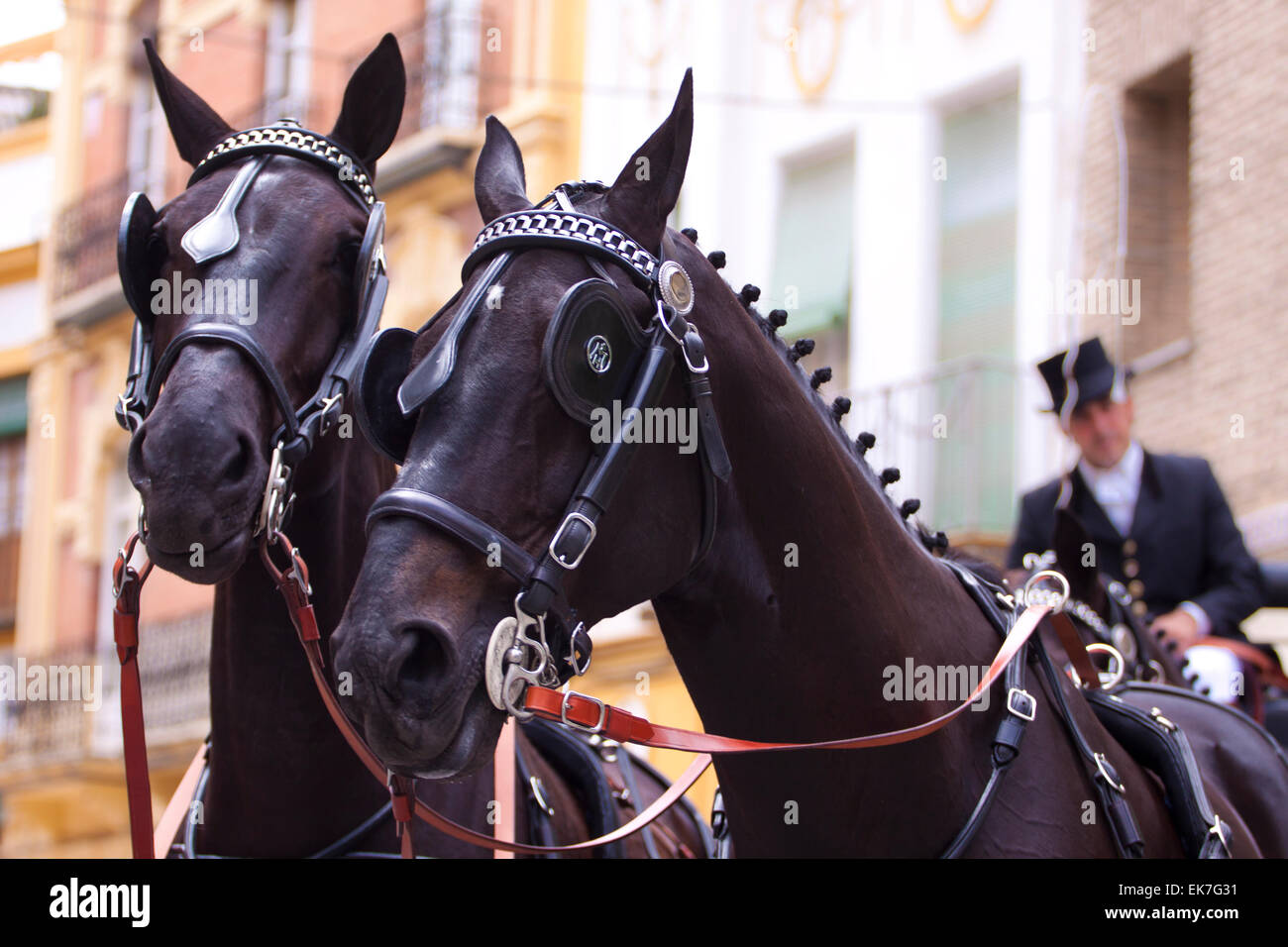 élégante calèche Banque de photographies et d’images à haute résolution ...