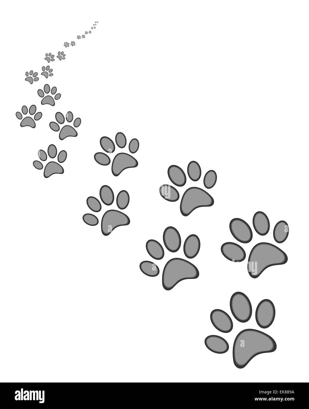 Logo De Patte De Chat Sauvage