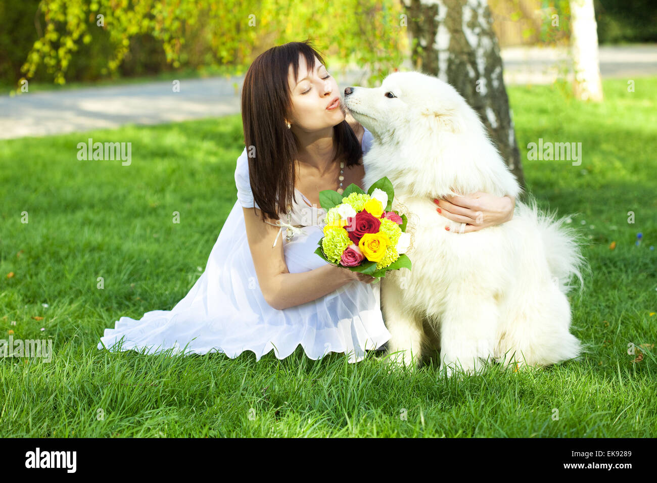 Chien de la mariée Banque de photographies et d’images à haute ...