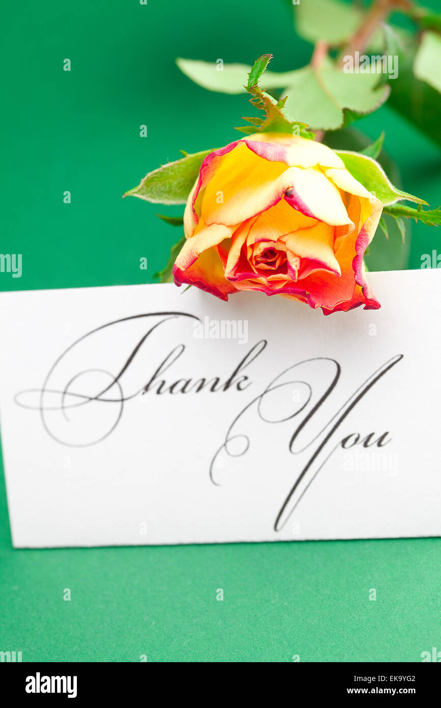 Carte de remerciement avec rose Banque de photographies et d’images à ...
