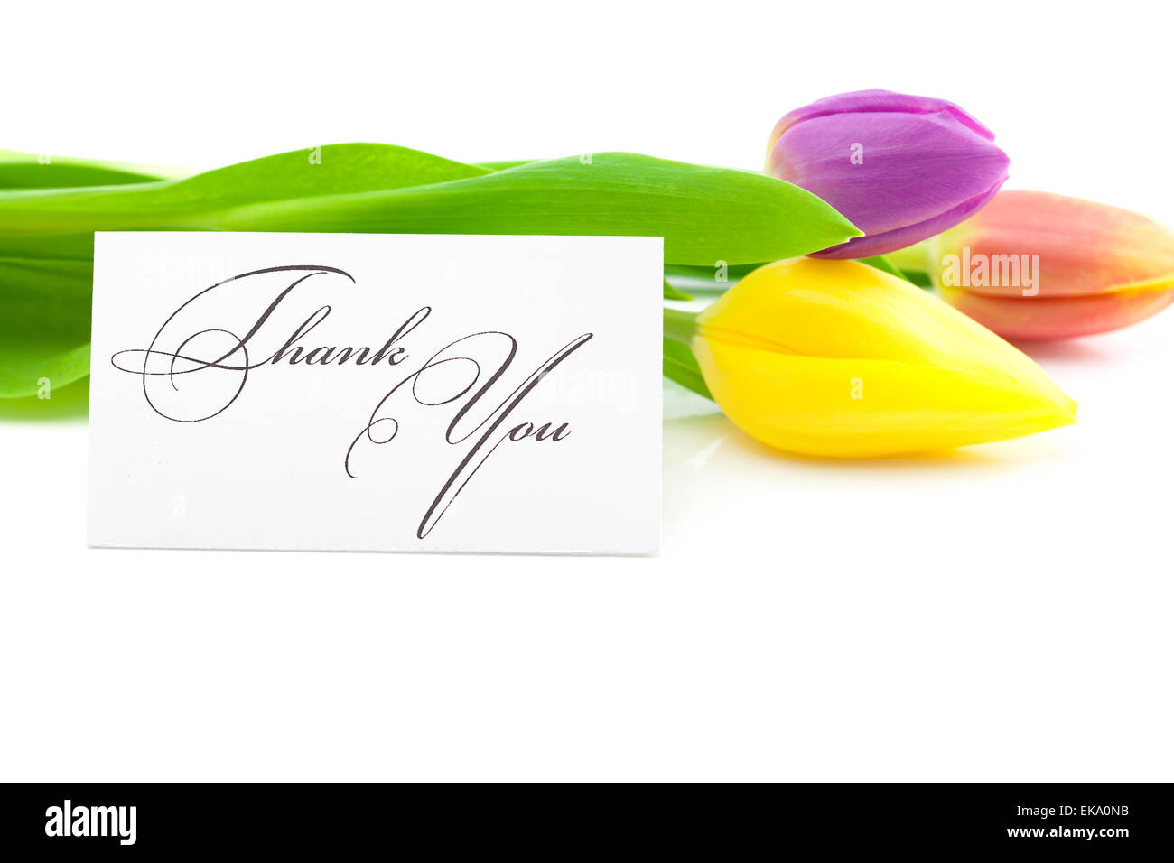 Carte merci avec tulipes Banque de photographies et d’images à haute ...