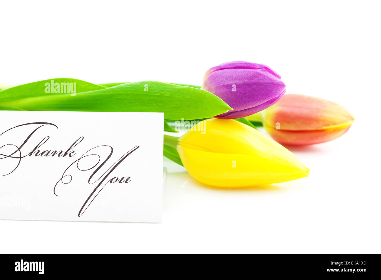 Carte merci avec tulipes Banque de photographies et d’images à haute ...