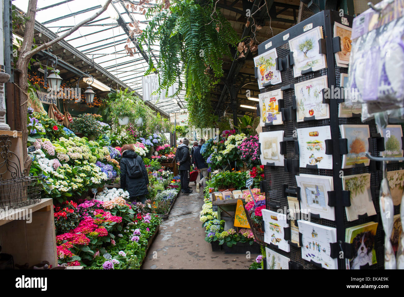 Marché aux fleurs paris île de la cité Banque de photographies et d ...