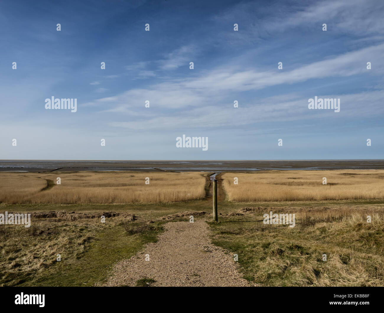 Wadden sea Banque de photographies et d’images à haute résolution - Alamy