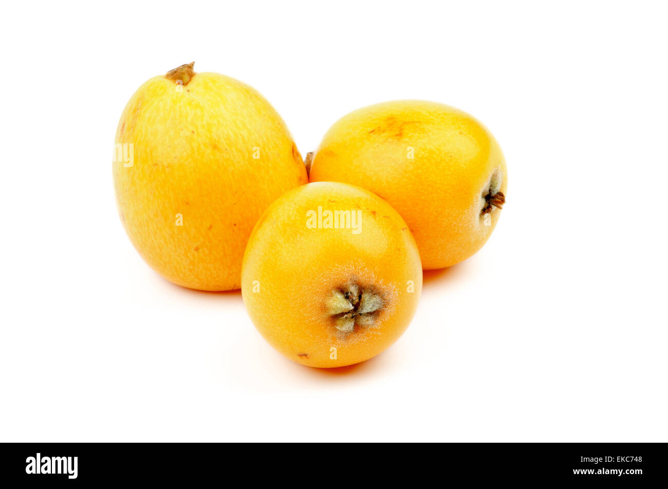 Néflier commun aux fruits Banque de photographies et d’images à haute ...