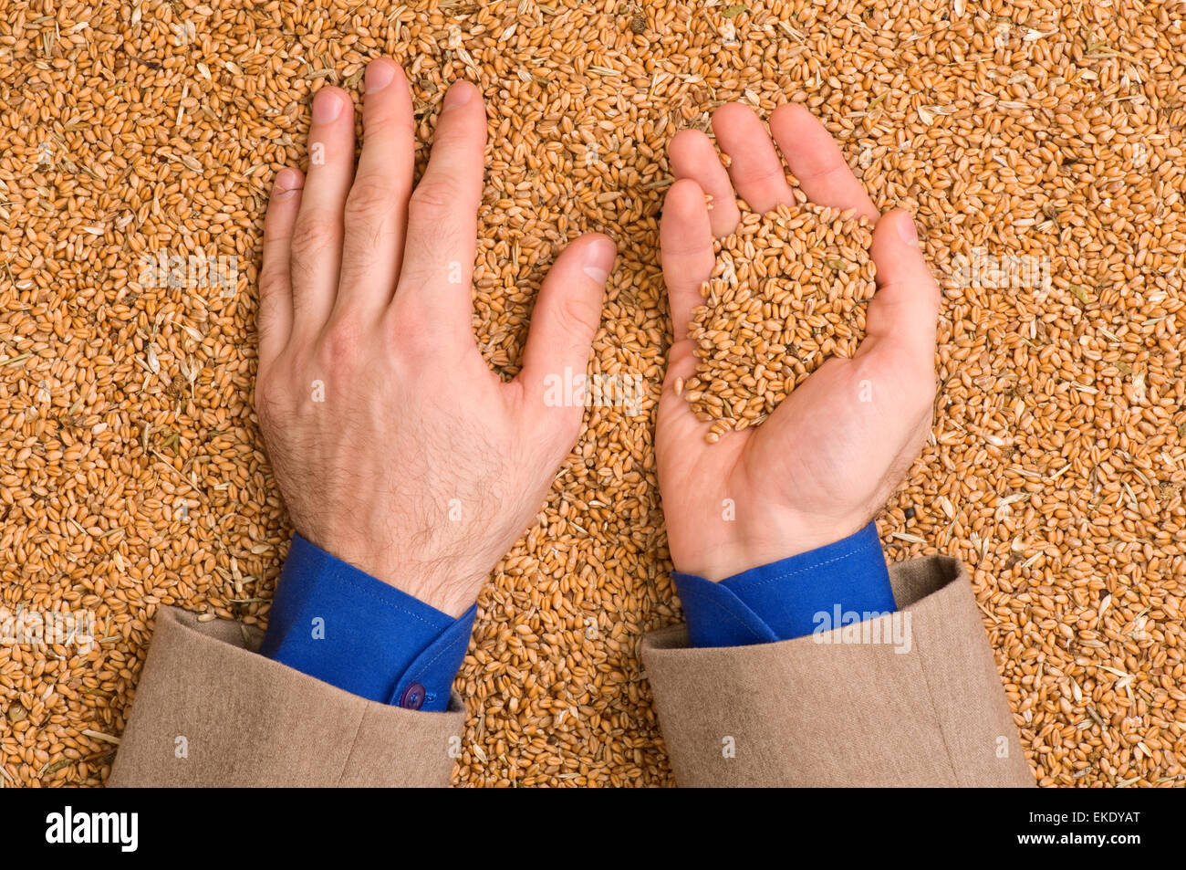 Portrait d'un symbole de richesse Photo Stock - Alamy
