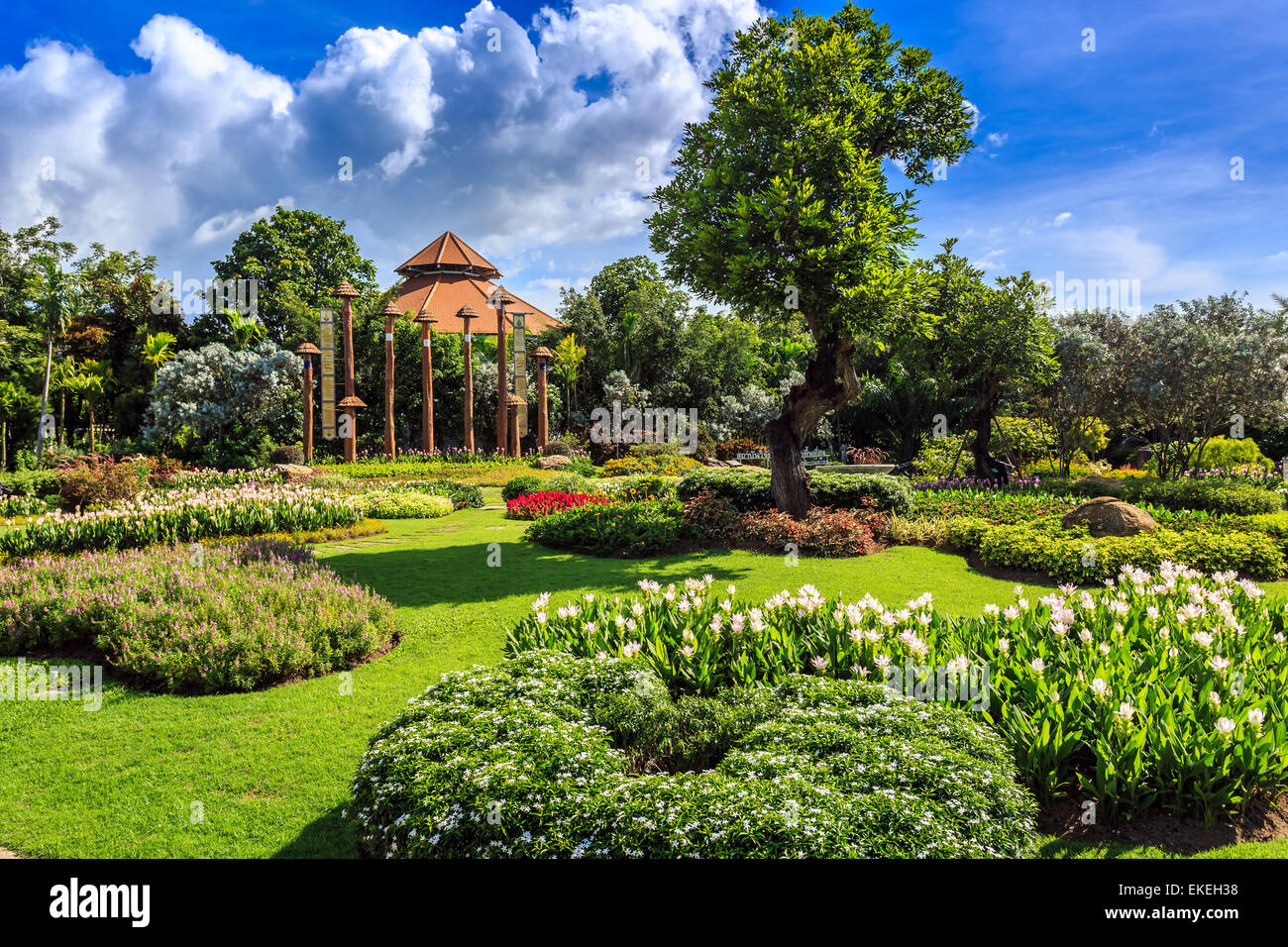 Flore royale jardin ratchaphruek Banque de photographies et d’images à ...