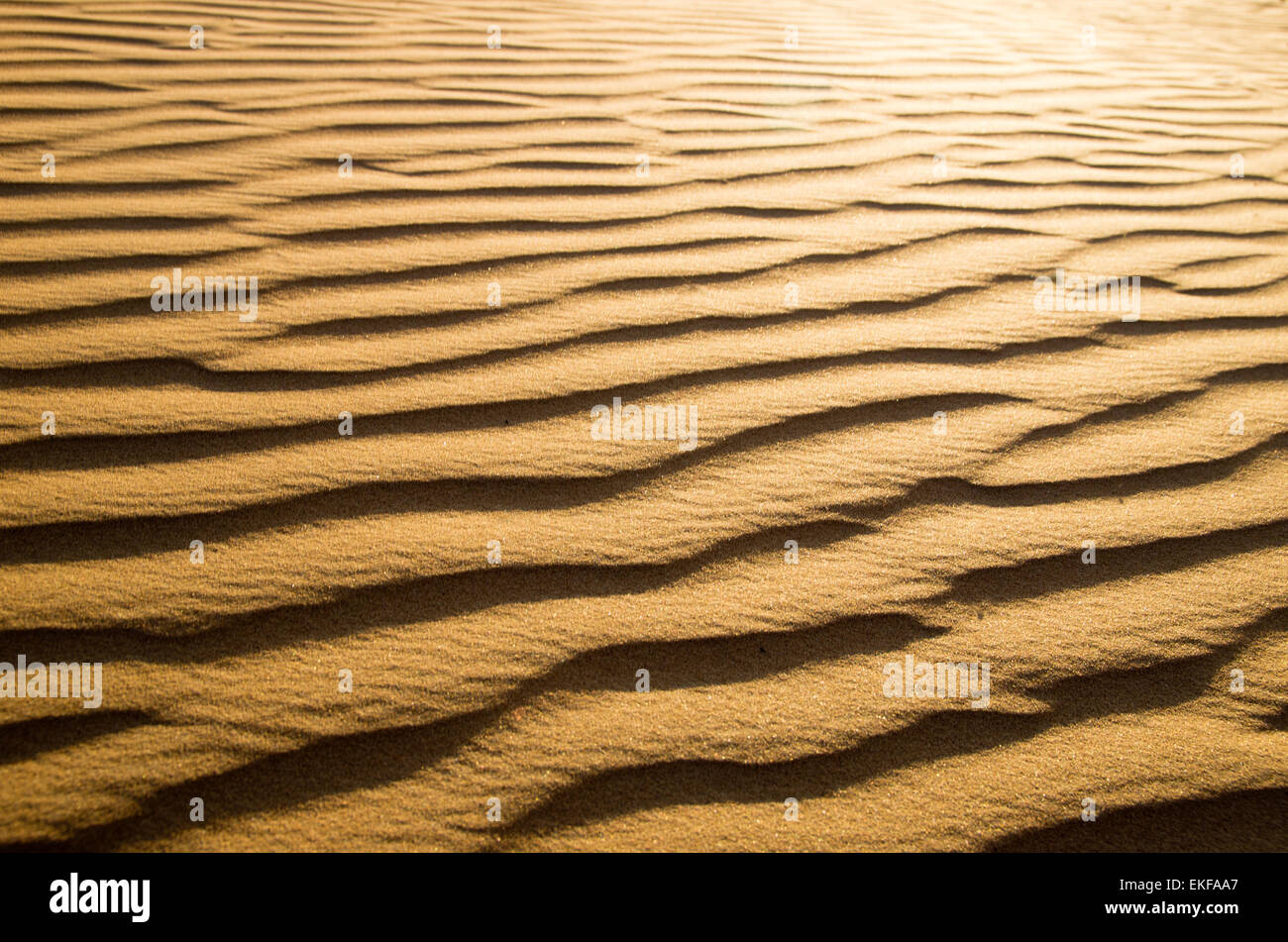 Texture sable Banque de photographies et d’images à haute résolution ...