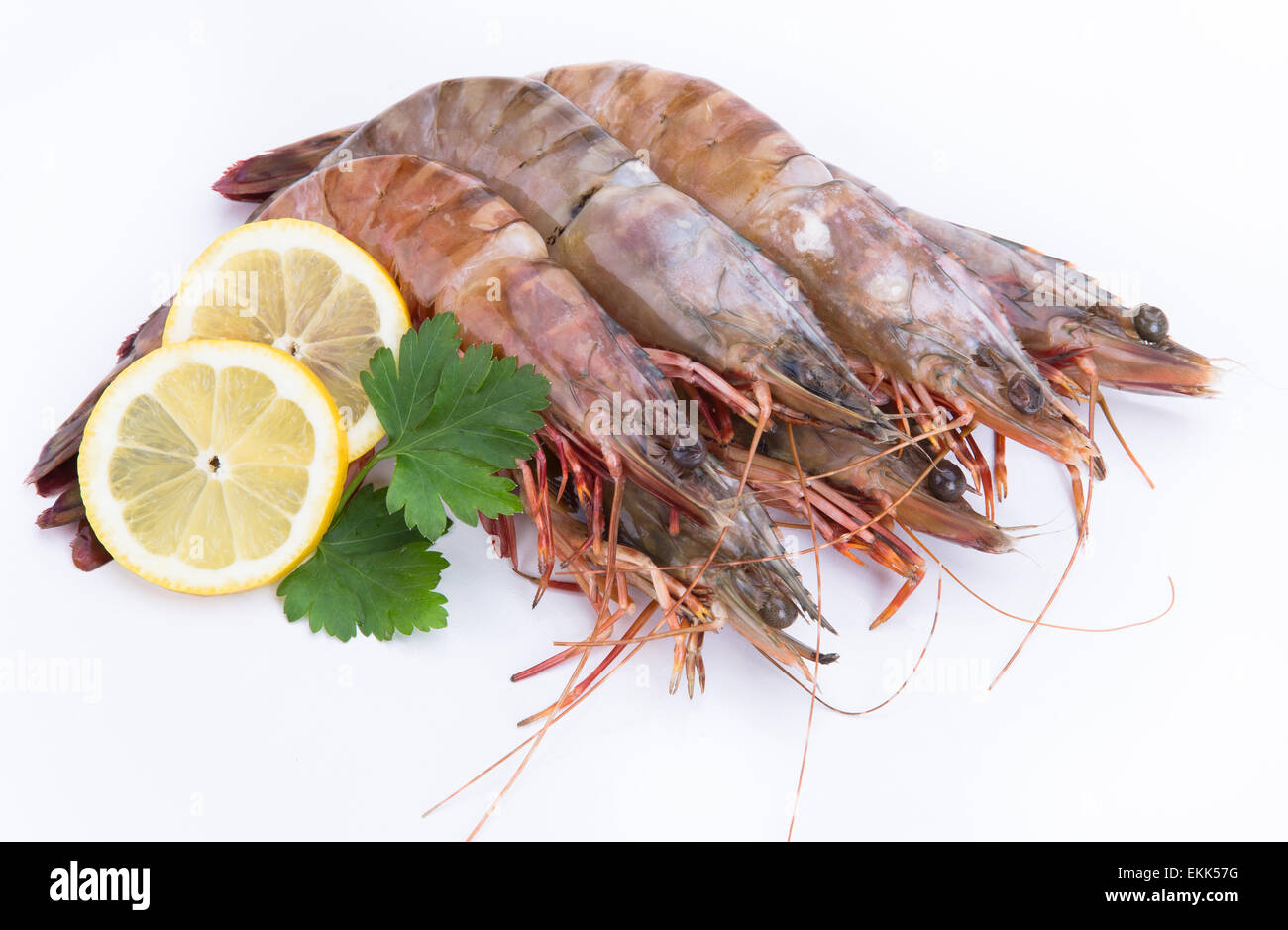 Grosse crevettes géantes, les crevettes fraîches isolées Photo Stock ...