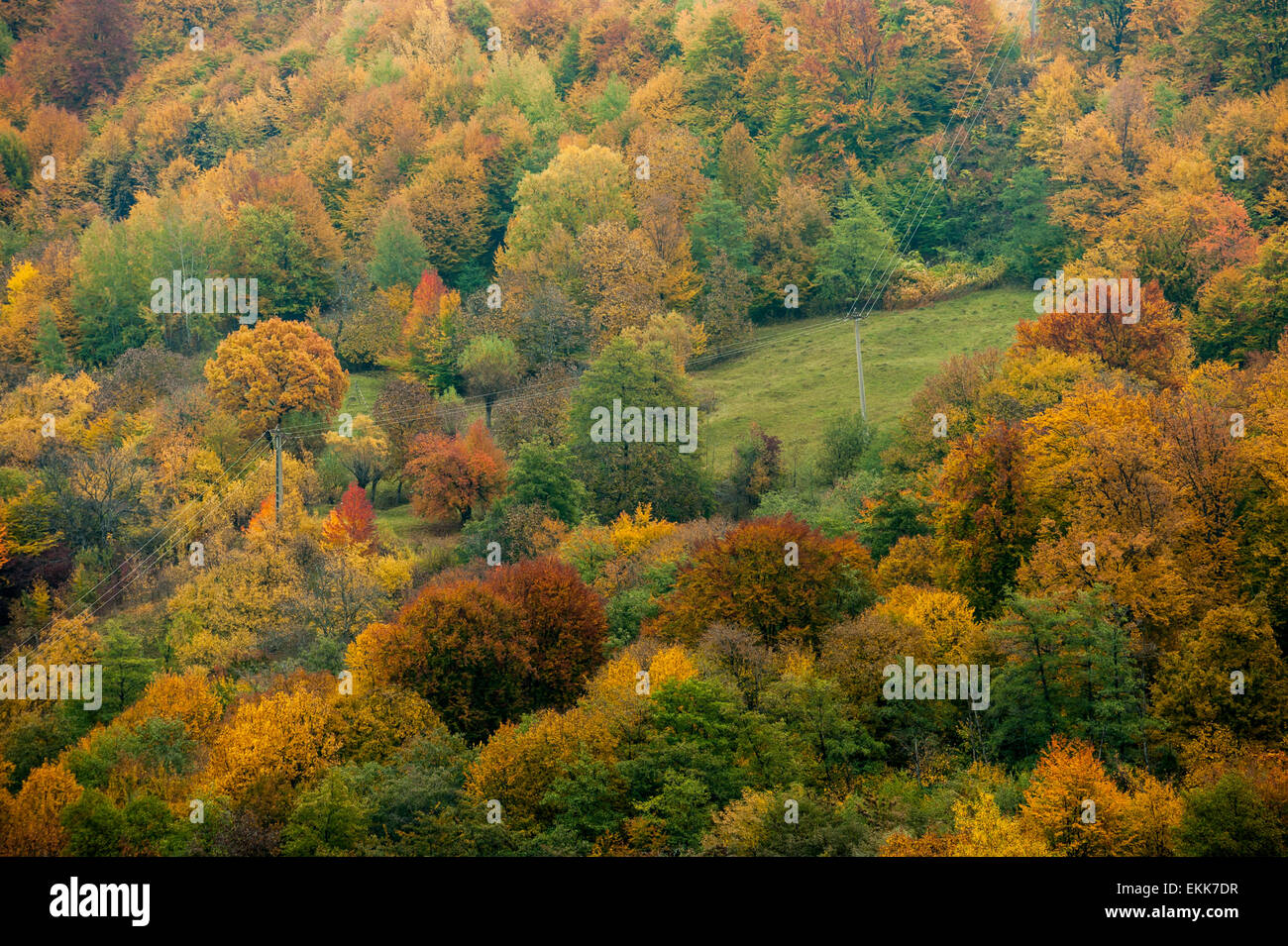 Colline d'automne Banque de photographies et d’images à haute ...