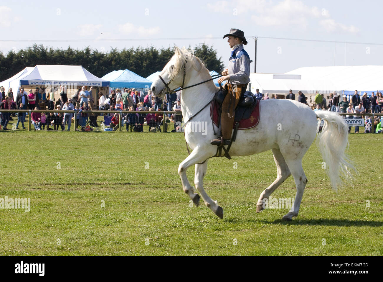 équipe de cascadeurs équins Banque de photographies et d’images à haute ...
