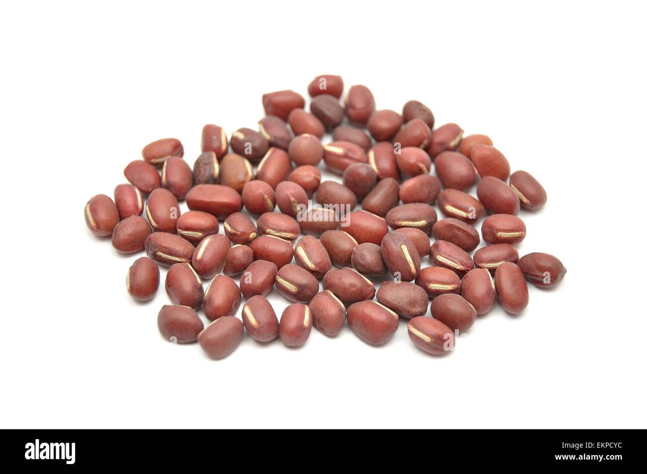 Haricot en germination Banque d'images détourées - Alamy