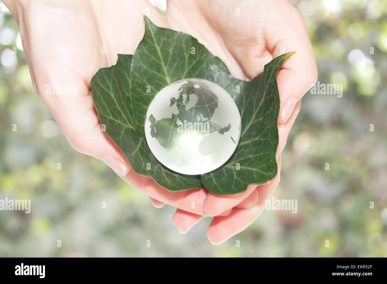 écologie de la planète Banque de photographies et d’images à haute ...