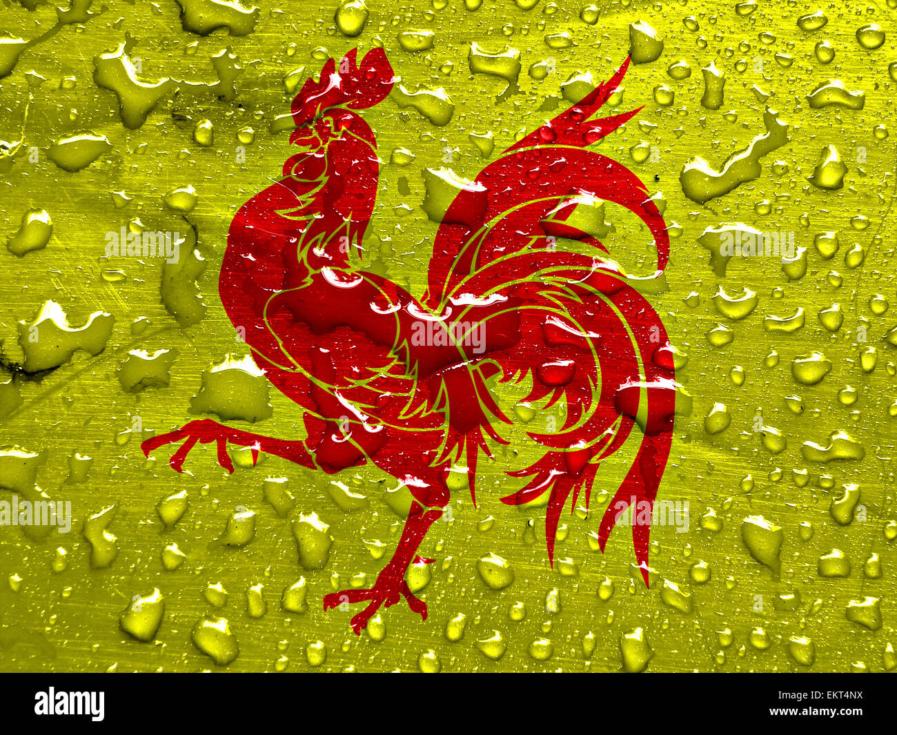 Walloon flag Banque de photographies et d’images à haute résolution - Alamy