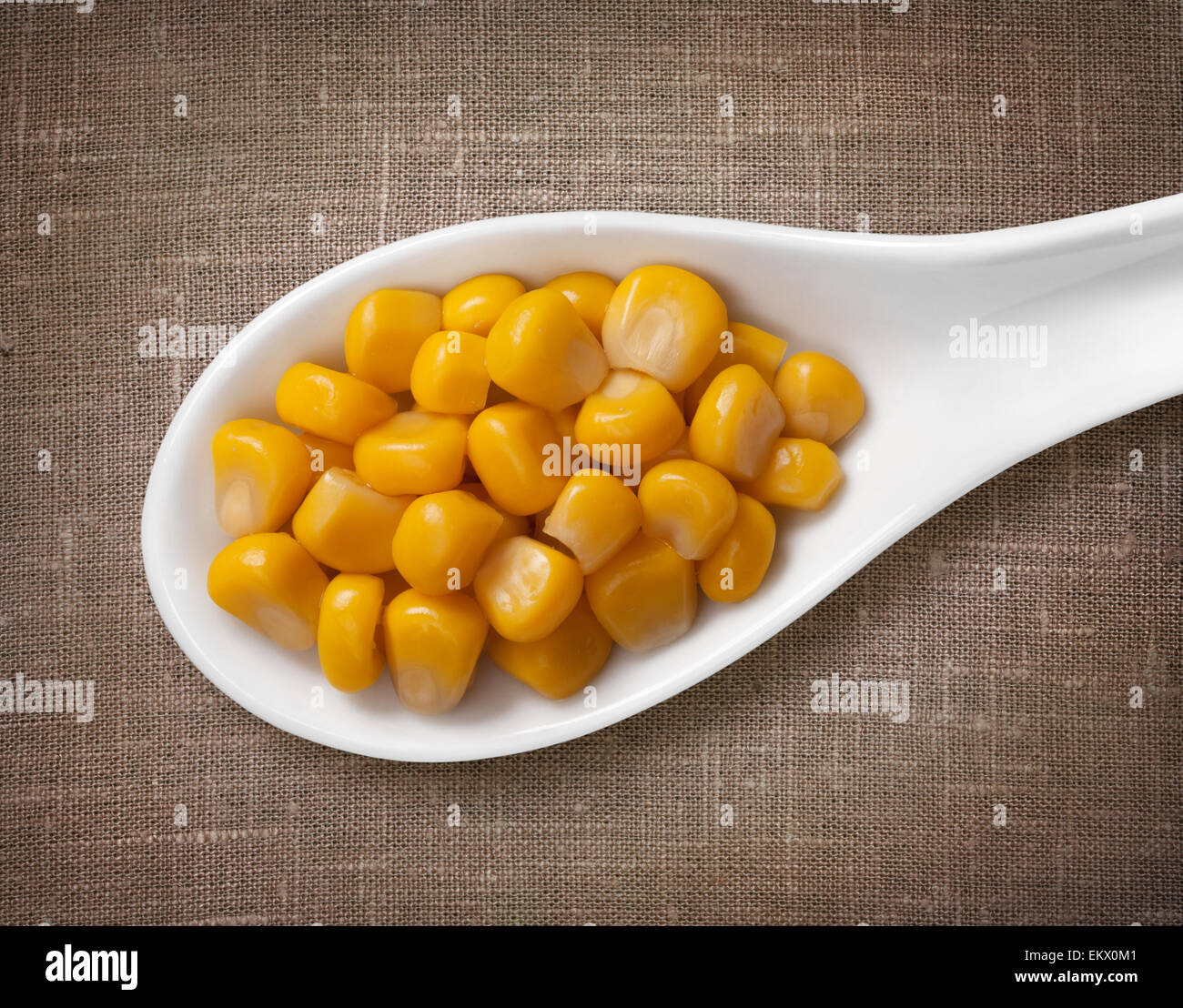 Maïs en conserve en cuillère en porcelaine blanche / haute résolution ...