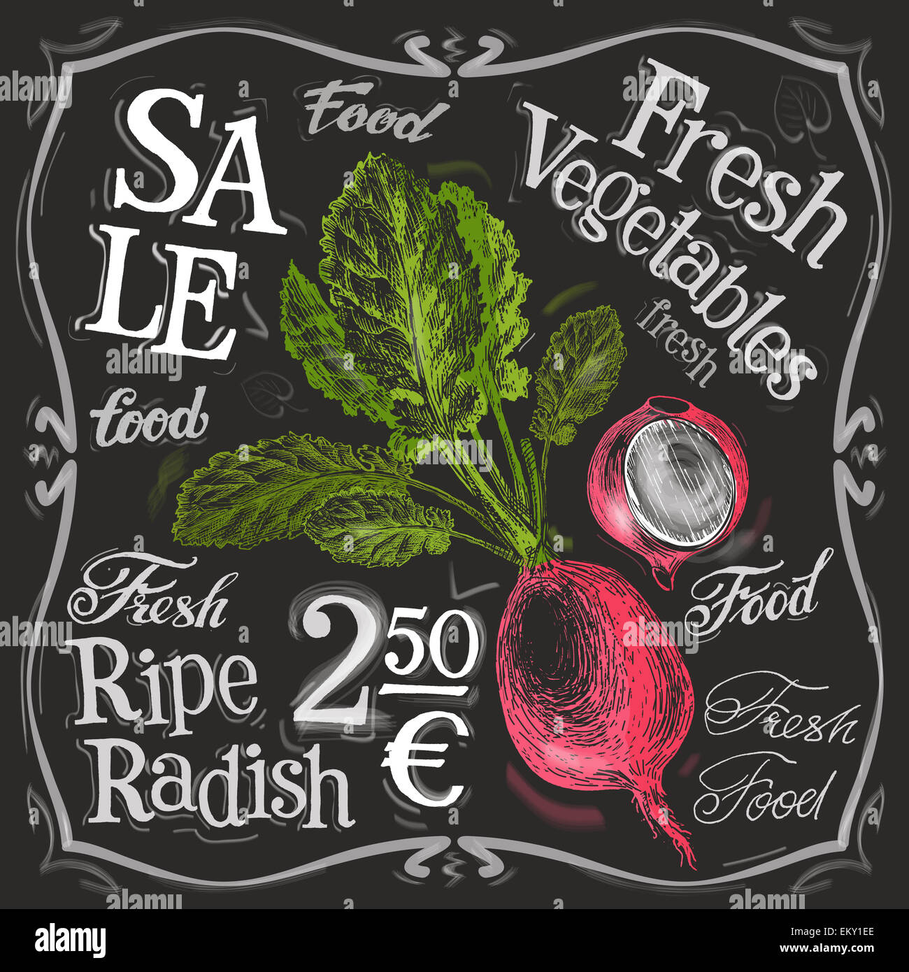 Radis mûrs logo vector modèle. des aliments frais, des légumes ou du ...