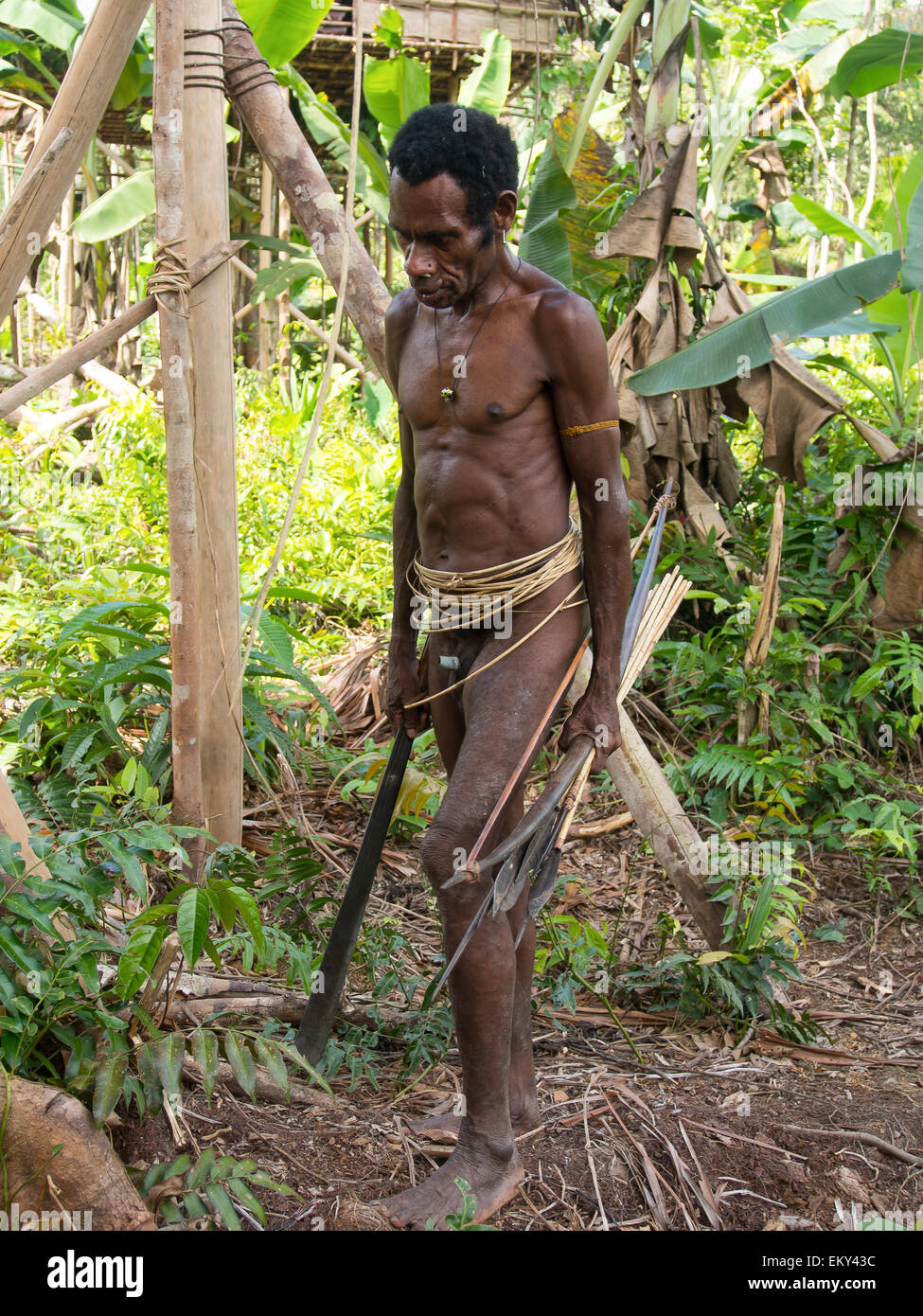 Jungle homme Banque de photographies et d’images à haute résolution - Alamy