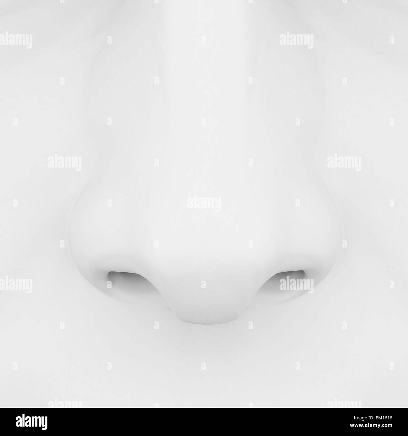 Nez humain anatomy Banque d'images noir et blanc - Alamy
