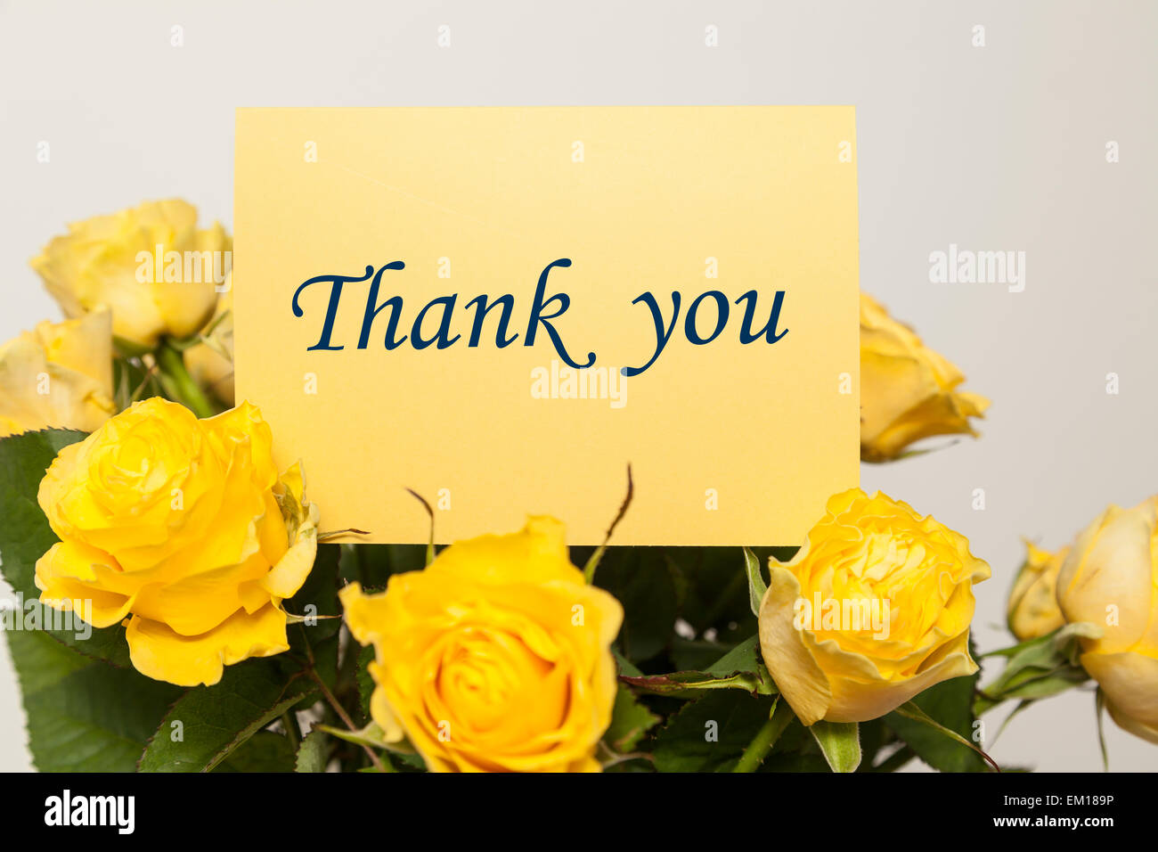 Carte de remerciement avec rose Banque de photographies et d’images à ...