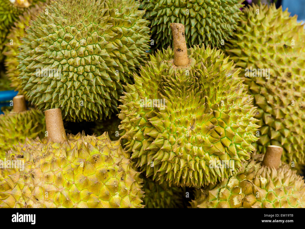 Marché du durian Banque de photographies et d’images à haute résolution ...