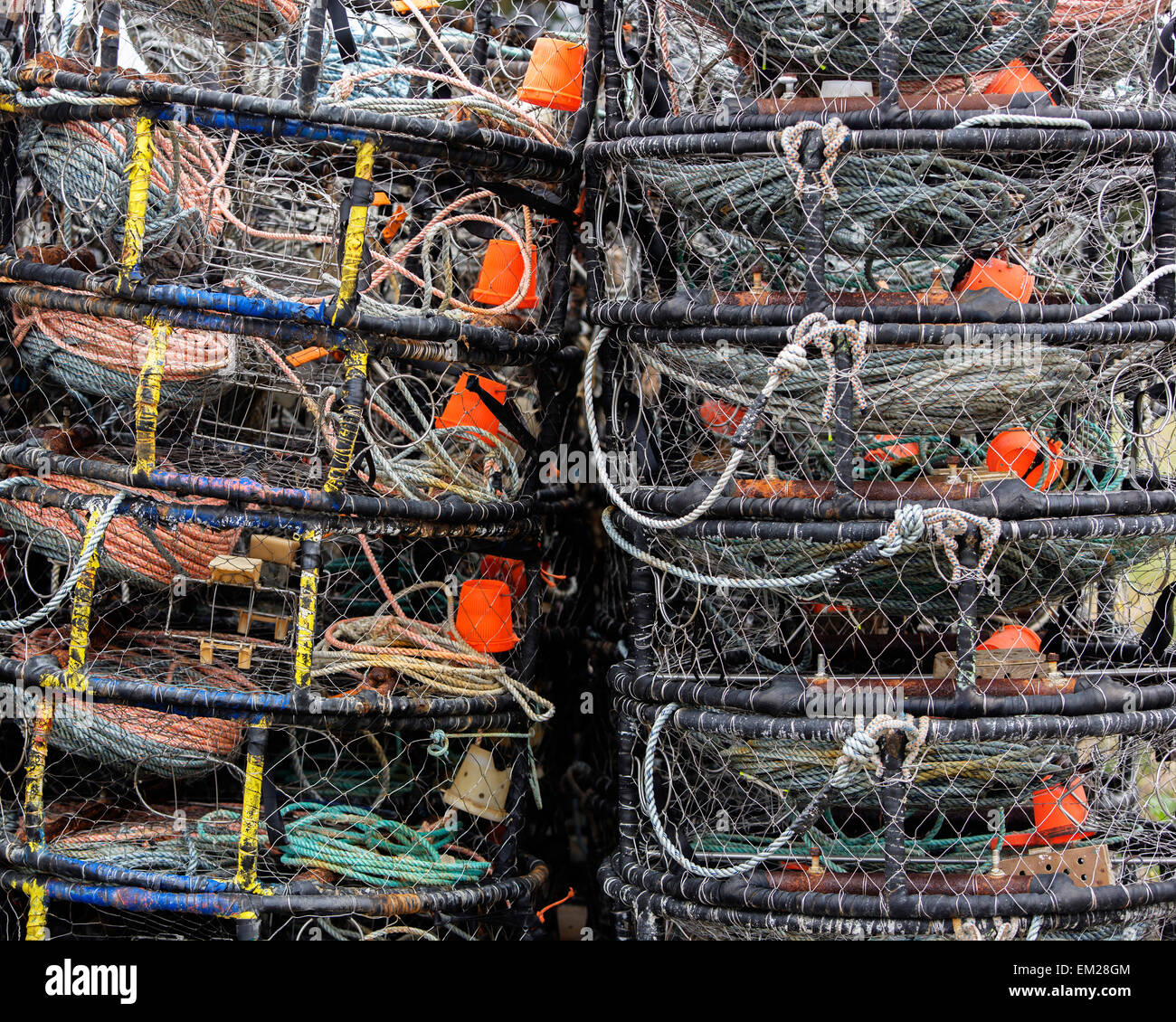 Crabe des pièges Photo Stock - Alamy