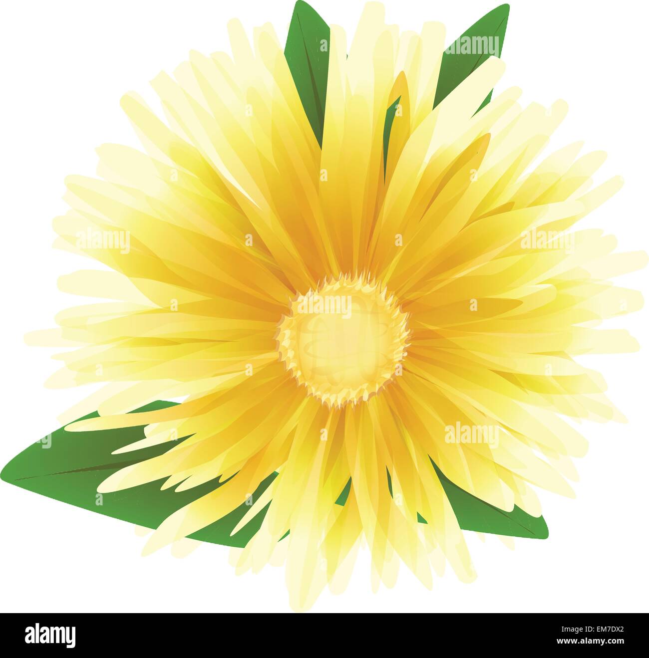 Fleur bouquet Banque d'images vectorielles - Alamy