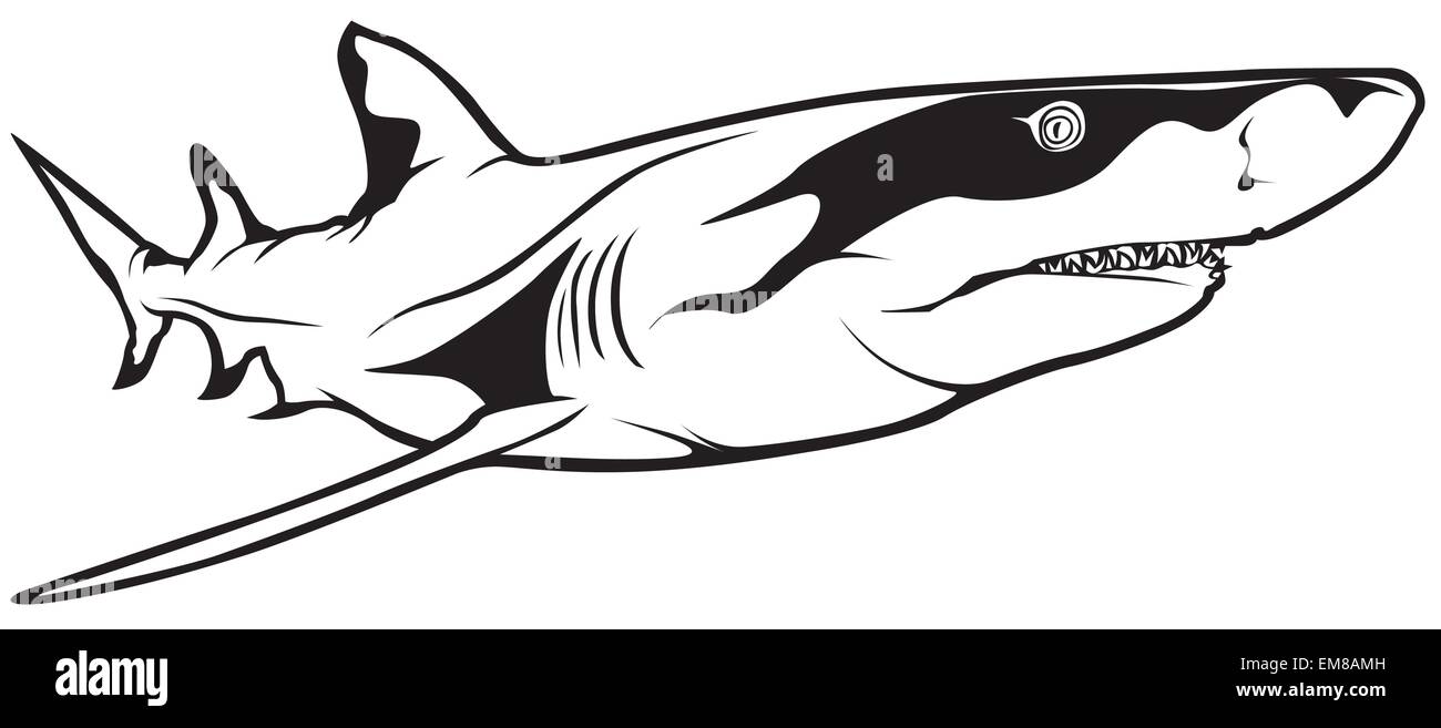 Shark outline Banque de photographies et d’images à haute résolution ...