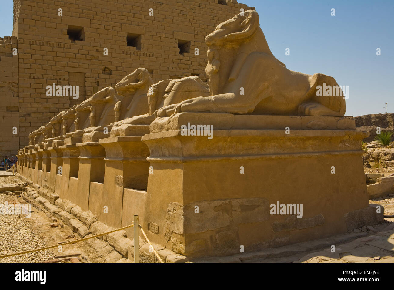 Sphinx à tête de bélier, symbole du dieu égyptien Amon, Temple de ...