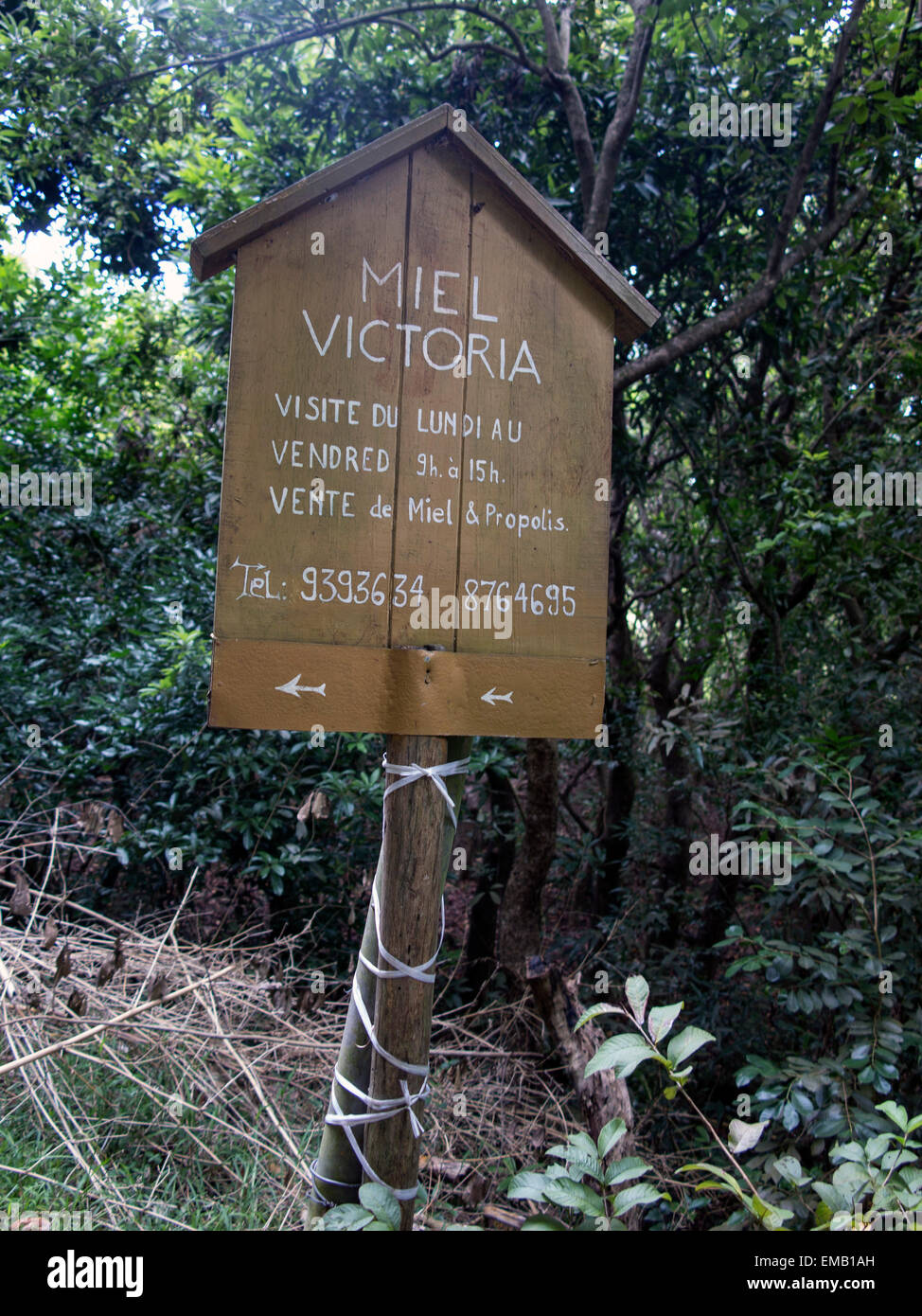 Miel victoria bigara centre ouest ile rodrigues maurice Banque de ...