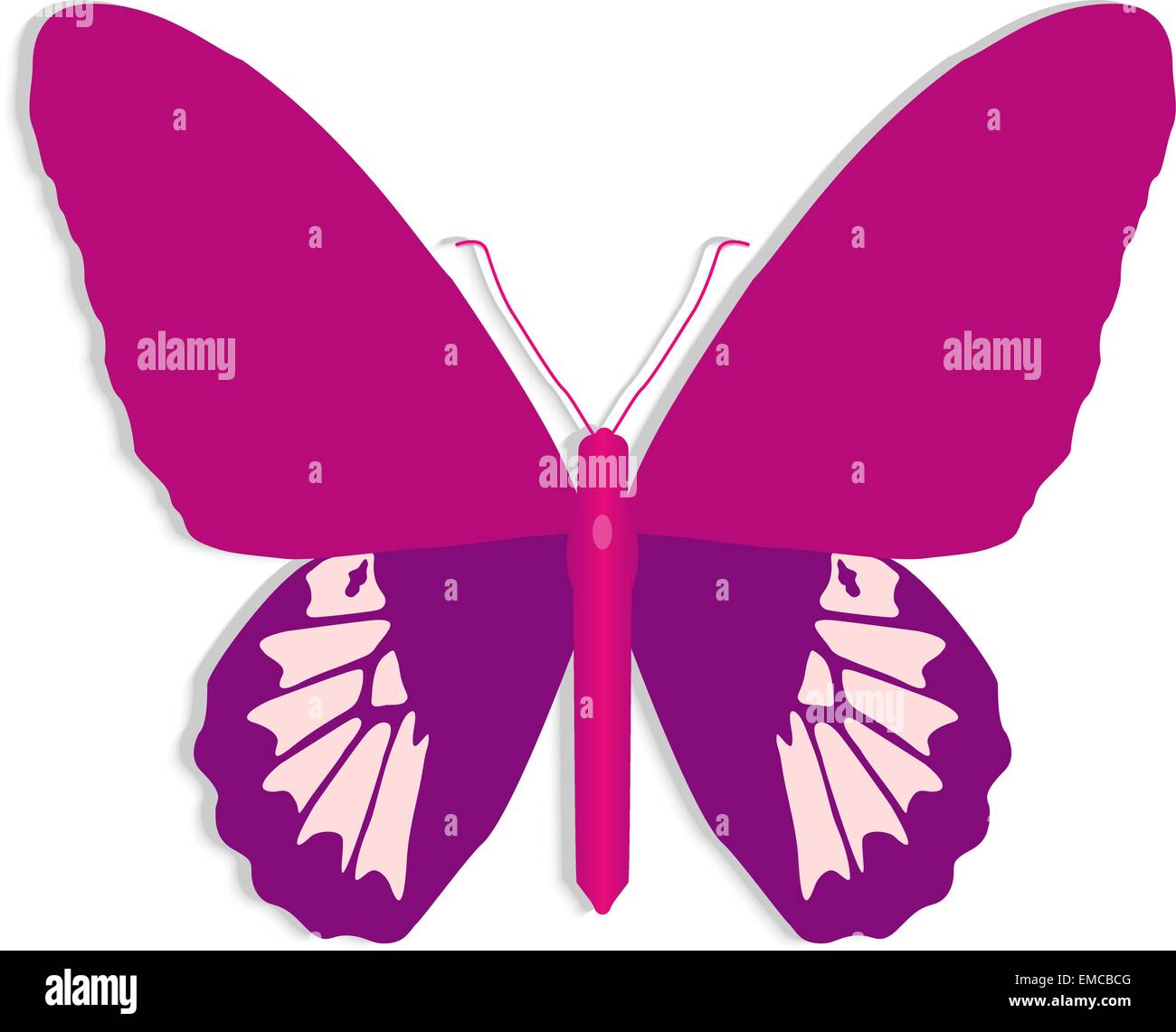 Papillon rose Banque d'images vectorielles - Alamy