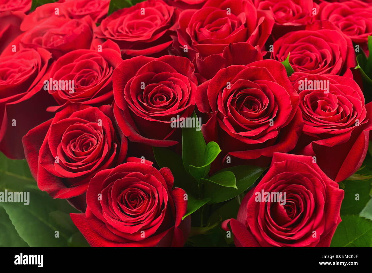 Bouquet de fleurs colorées de roses rouges pour l'utiliser comme ...