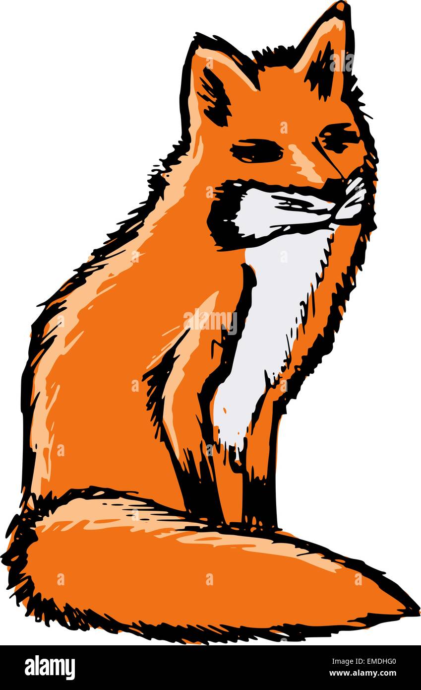 Renard dessiné Banque d'images vectorielles - Alamy
