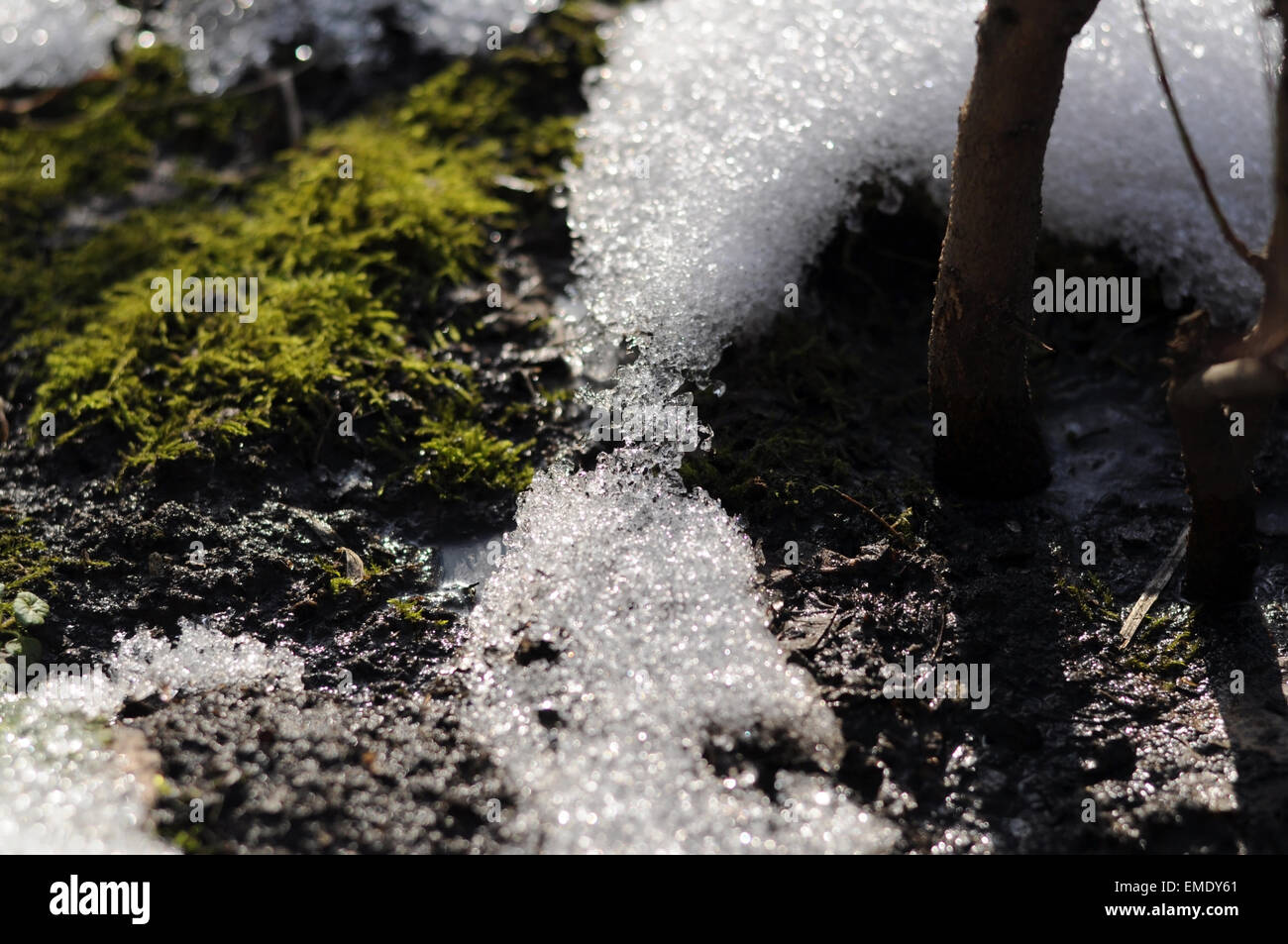 Fonte des neiges au sol Banque de photographies et d’images à haute ...