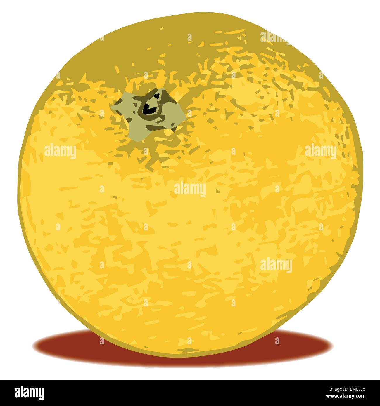 Pamplemousse dessin Banque de photographies et d’images à haute ...