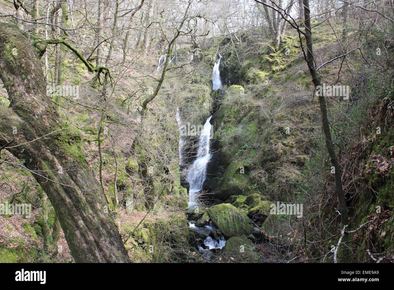 Stock cascade de force ghyll Banque de photographies et d’images à ...