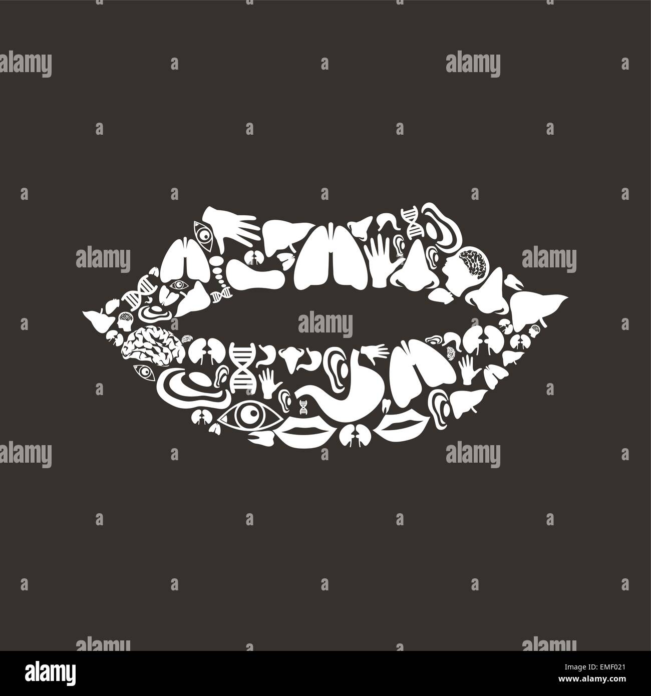 Parties du corps anatomie Banque d'images vectorielles - Alamy