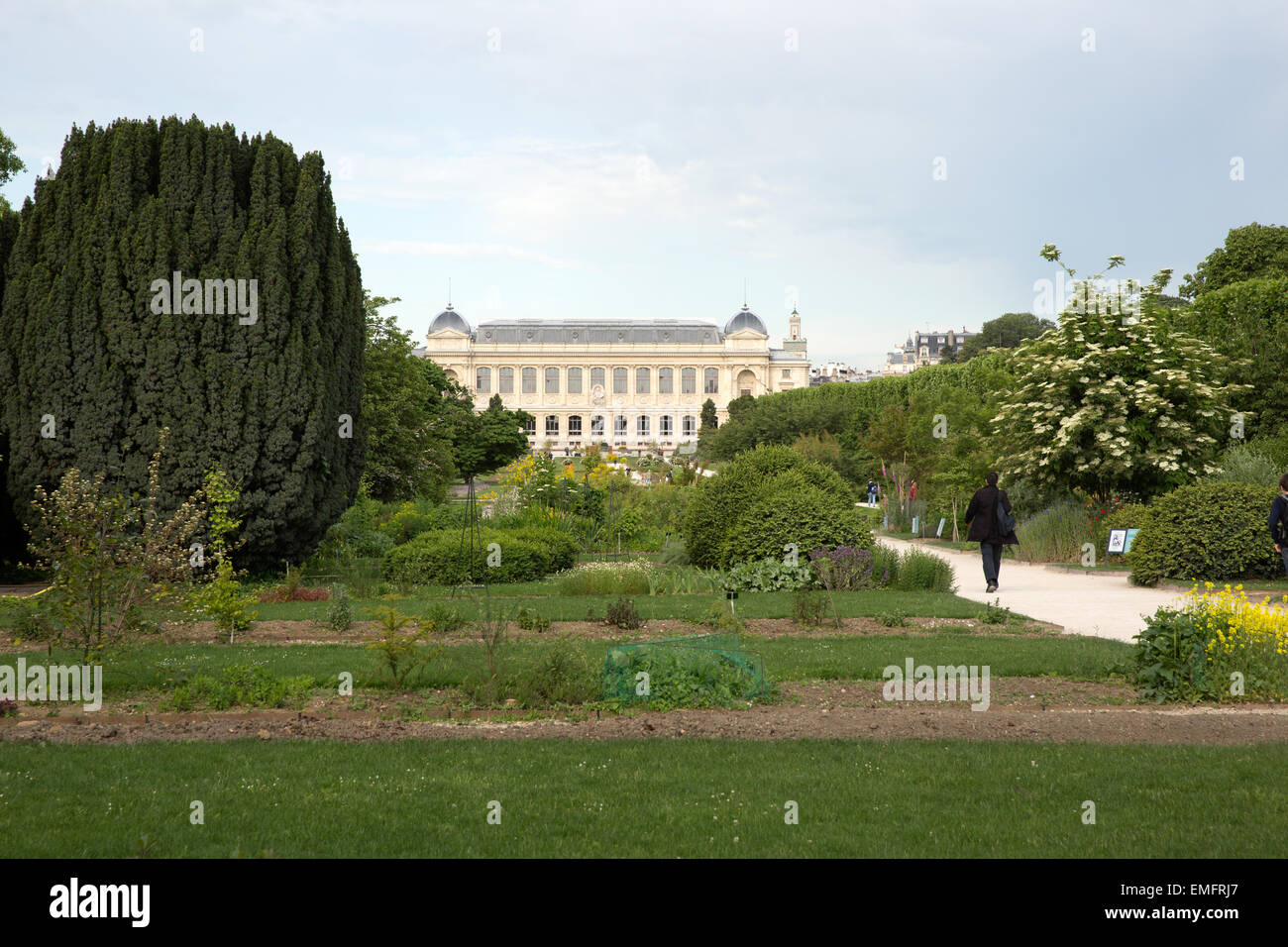 Jardin des Plantes Jardin botanique et la Grande Galerie de l'évolution ...